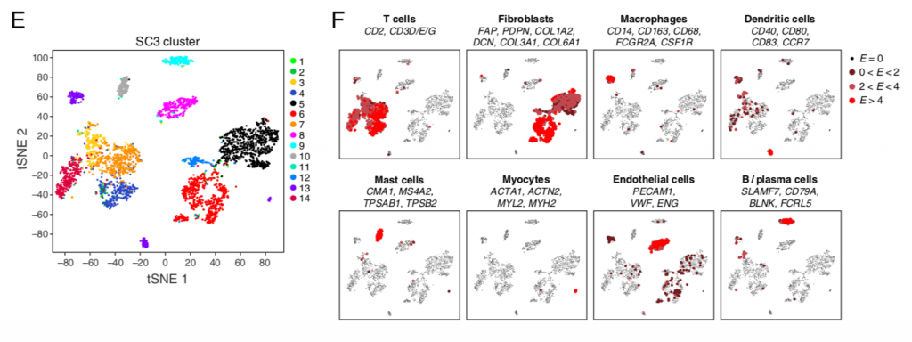 t-sne-plot-of-non-malignant-cells | 生信菜鸟团
